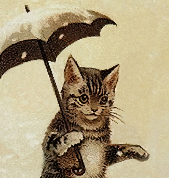 Cat Umbrellas For Adults