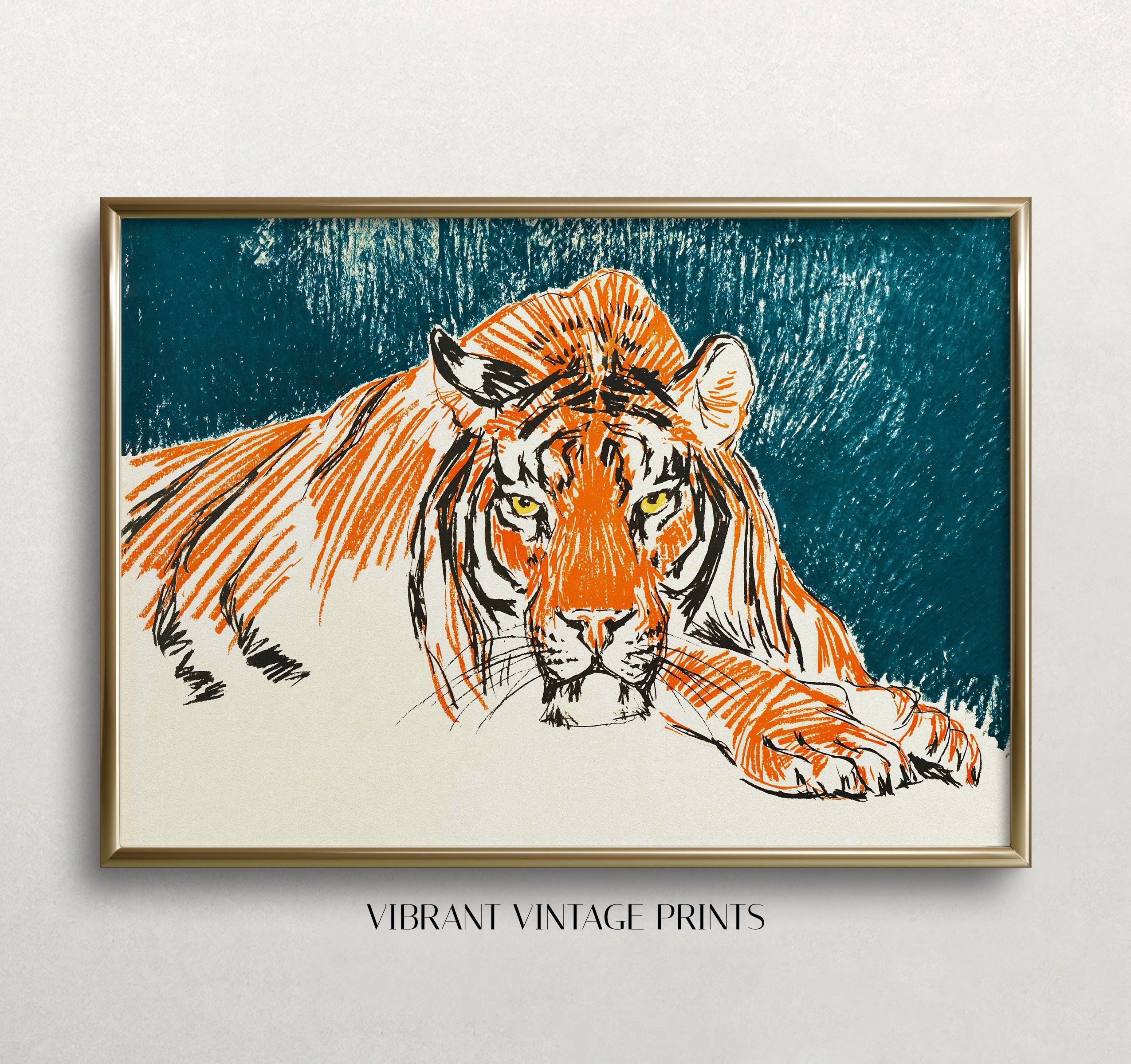 Tiger Cuddling Drawings