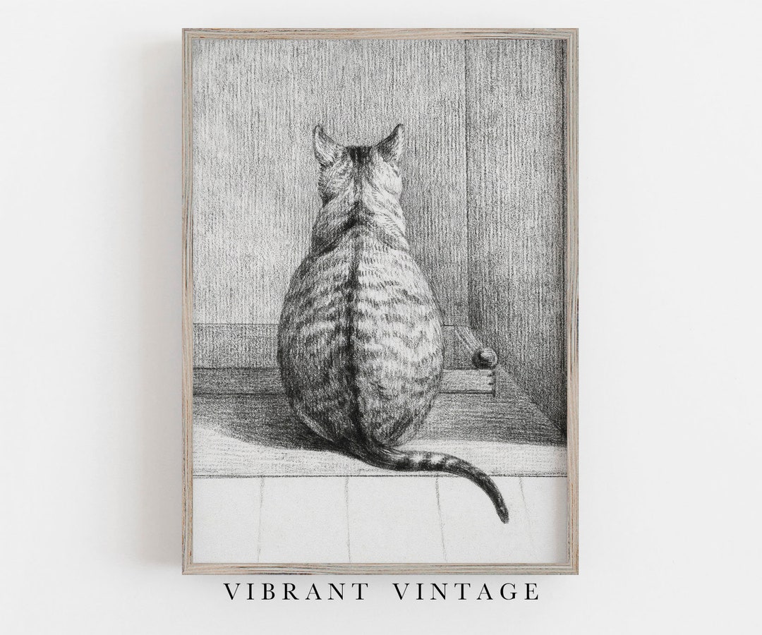 Vintage Cat Print: 19th Century Etching (digital Download) - Etsy