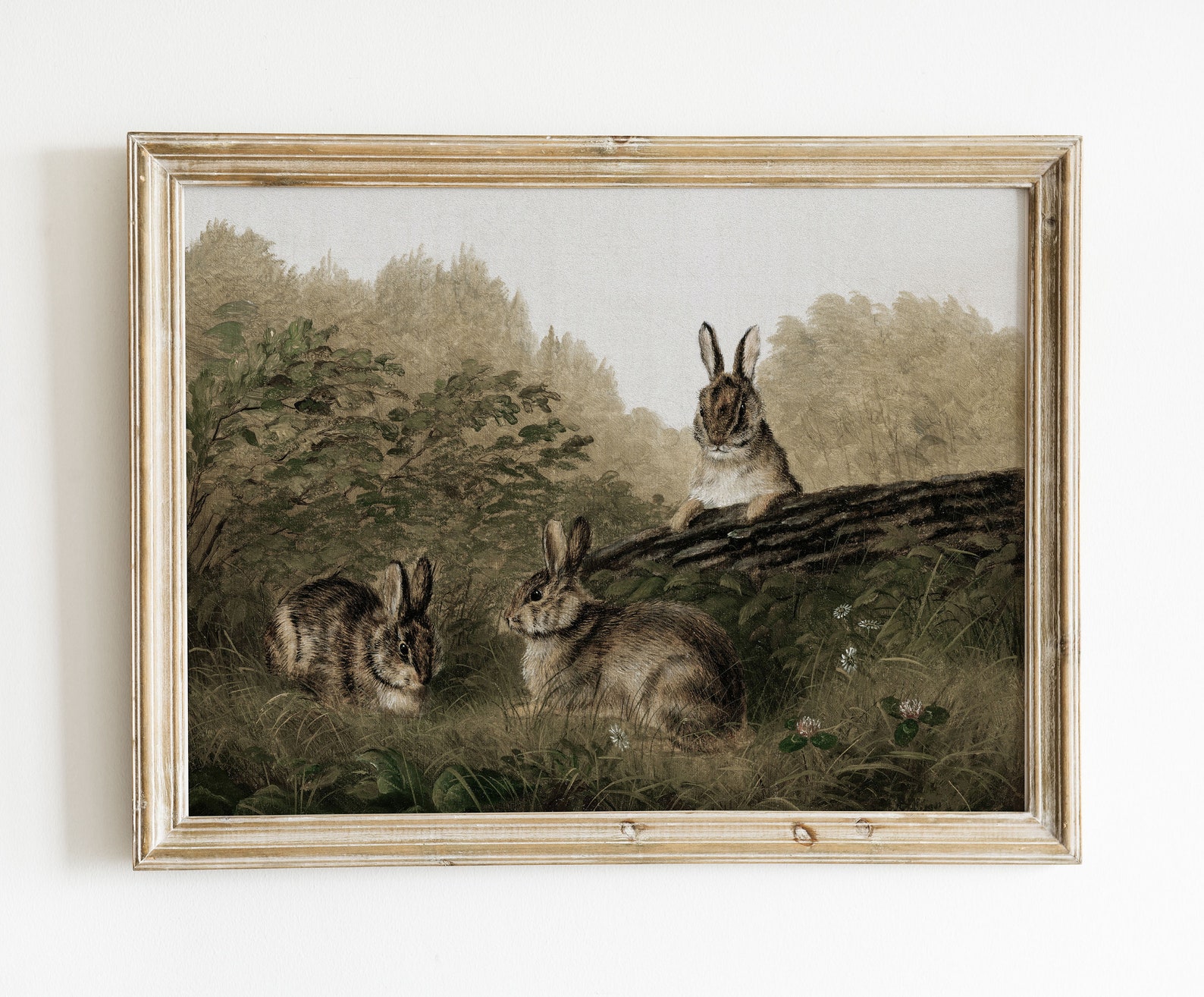 Rabbits Wall Art Vintage Wall Art Bunny Rabbit Print | Etsy