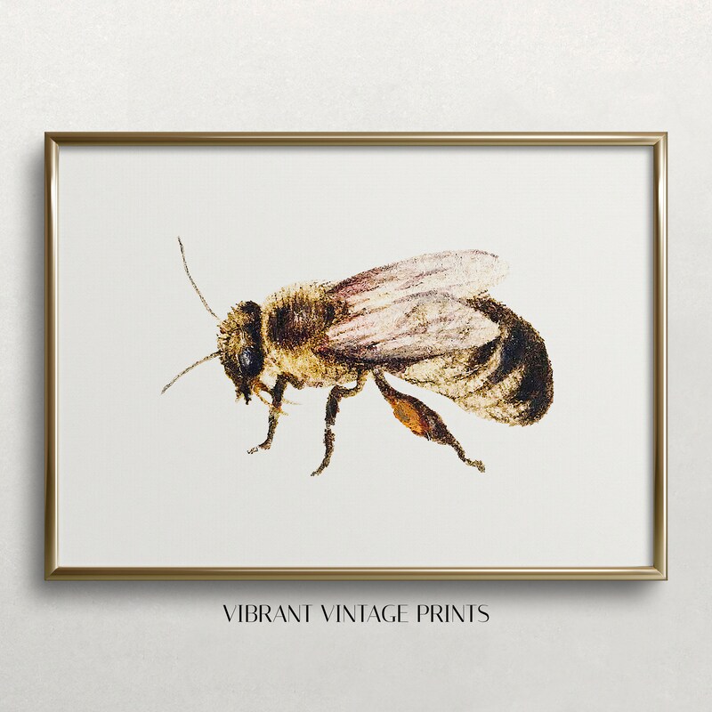 Bee Art - Etsy