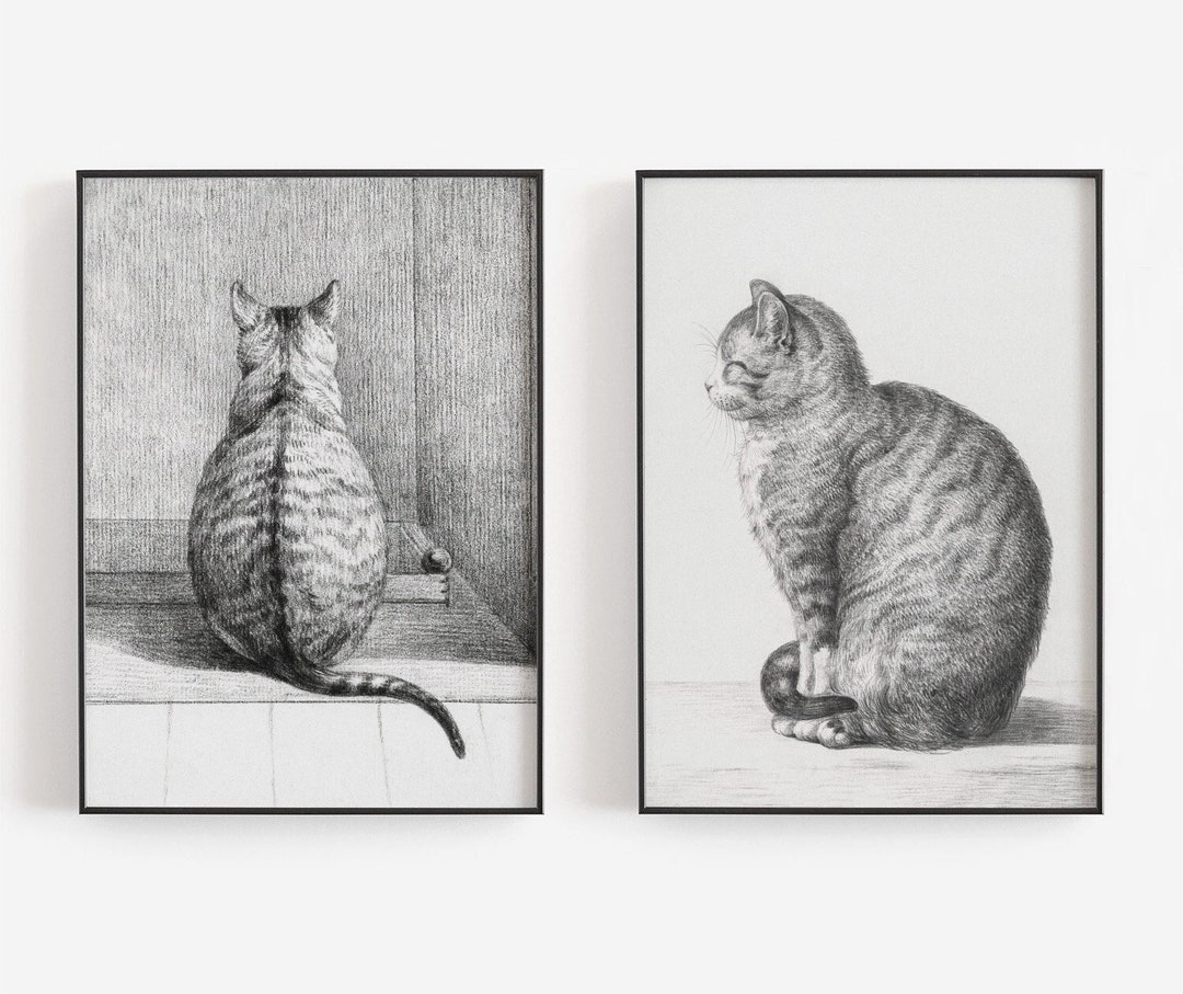 Vintage Cat Etching Prints: 19th Century Black and White Art (digital ...