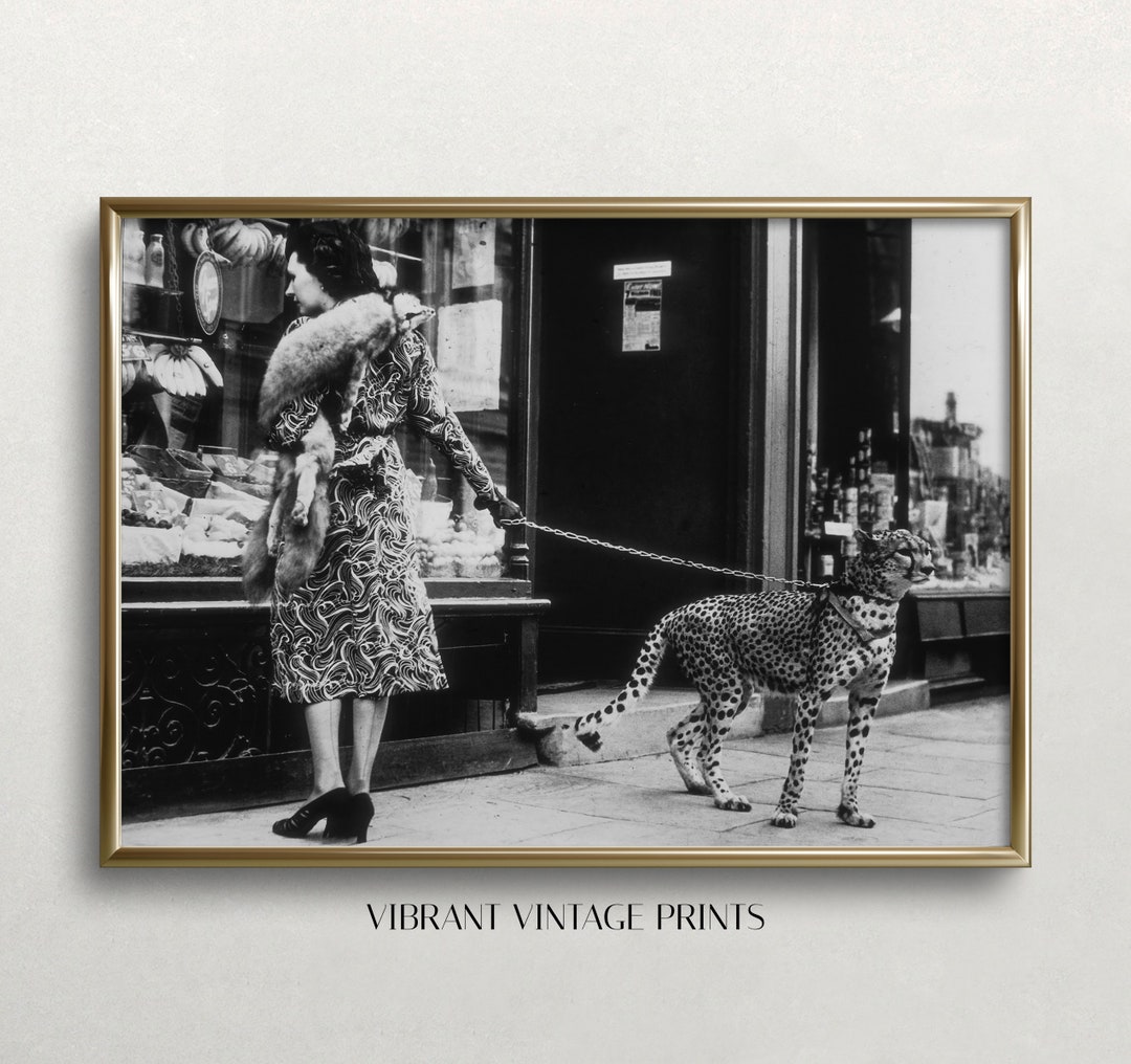 Leopard on Leash, Black and White Art, Vintage Wall Art, Leopard Wall ...