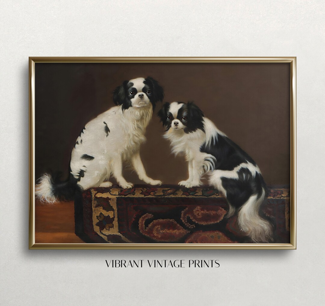 Vintage Japanese Chin Dog Portrait | Antique Printable Wall Art ...