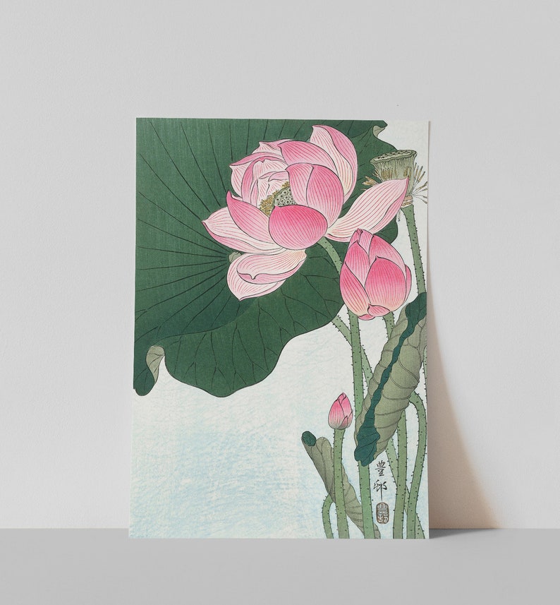 Vintage Japanese Lotus Flower Art Print: Antique Pink Floral Wall Decor ...