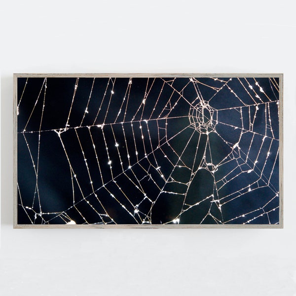 Framed Spider Web - Etsy