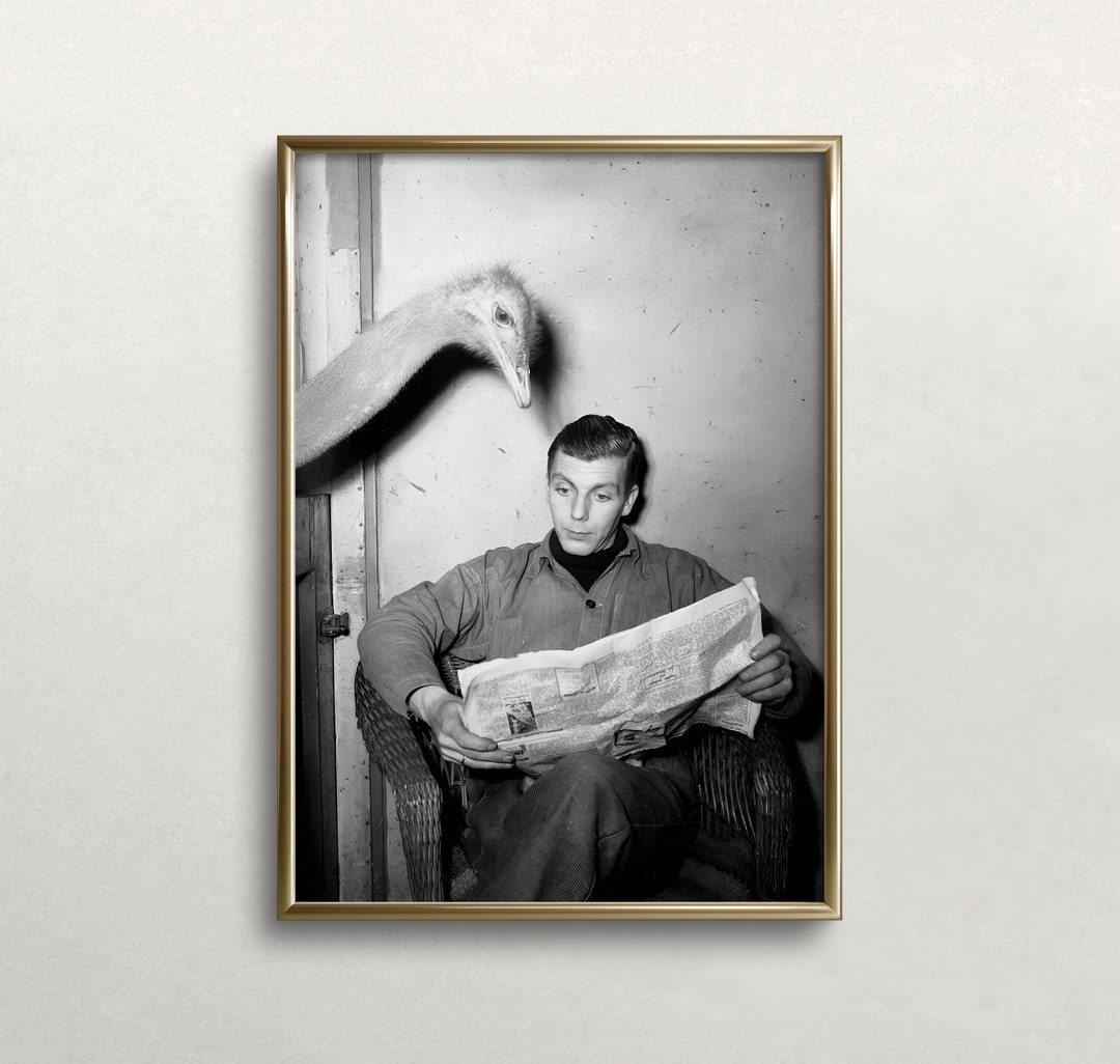 Funny Ostrich & Man Vintage Photo Print (digital Download) - Etsy