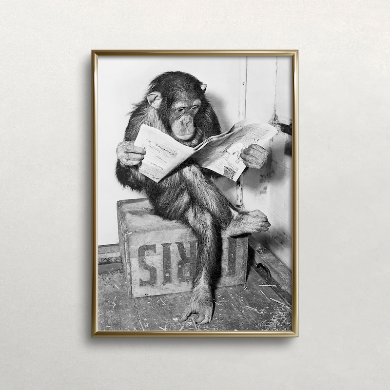 Chimpanzee Art - Etsy