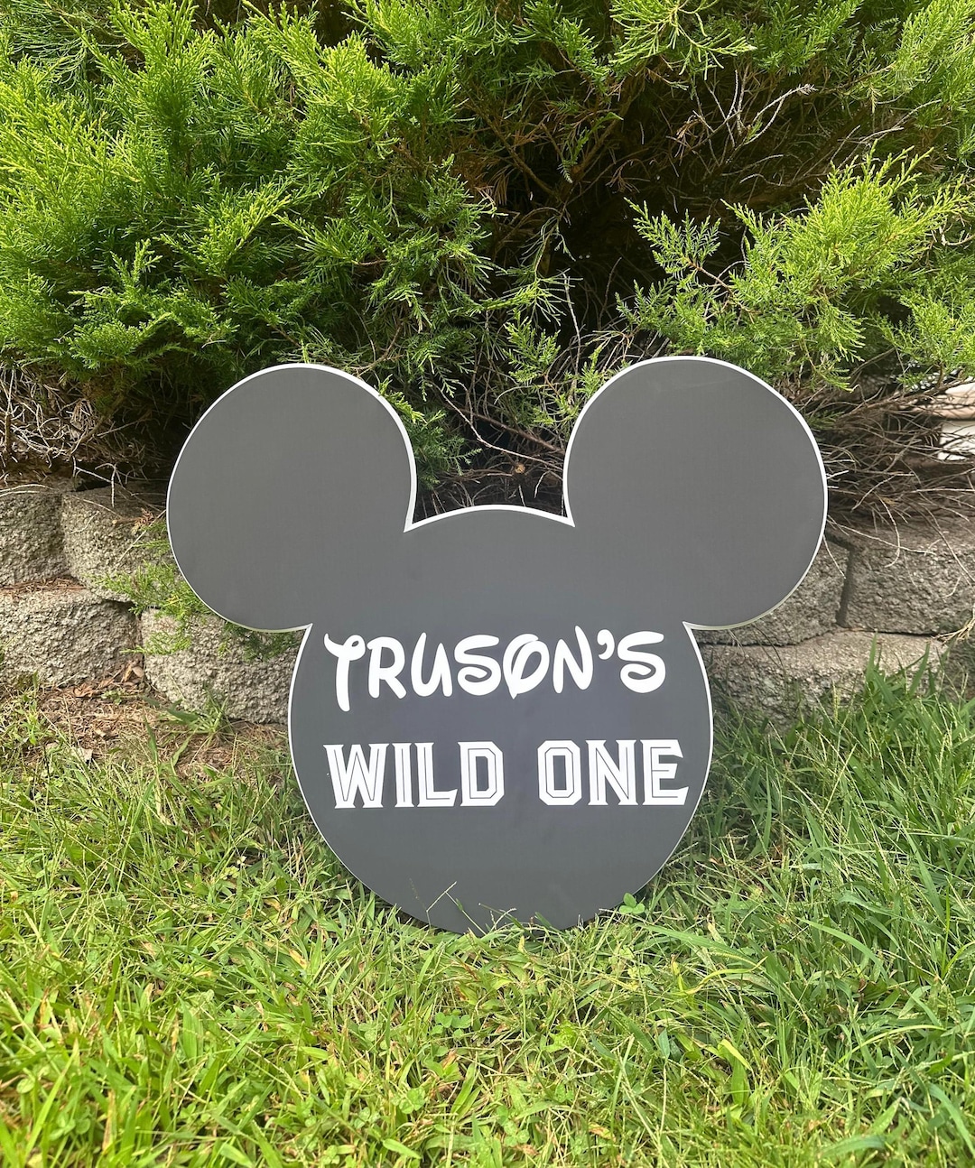 Mouse Head Props/ Mouse Party Props/mouse Cutouts/mouse Decorations ...