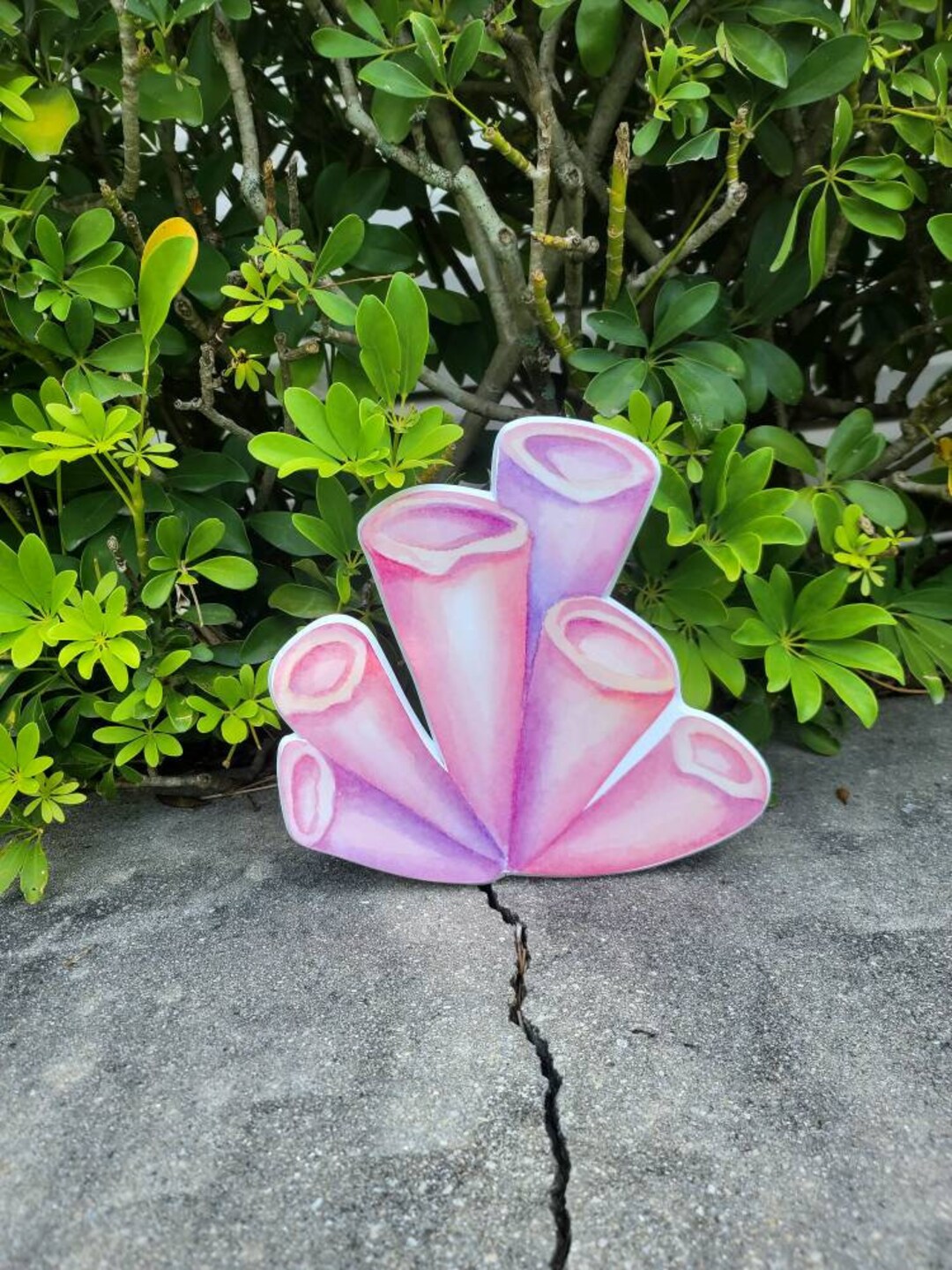 Under the Sea Cutouts/under the Sea Corals/under the Sea Decorations ...