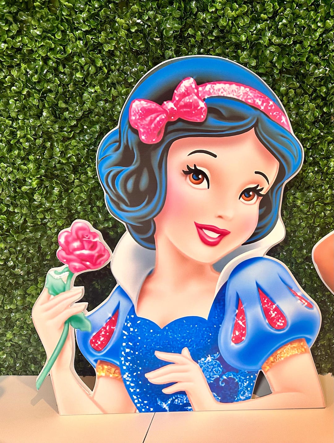 Princess Table Top Decor/ Princess Centerpieces, Princess of the Ice ...