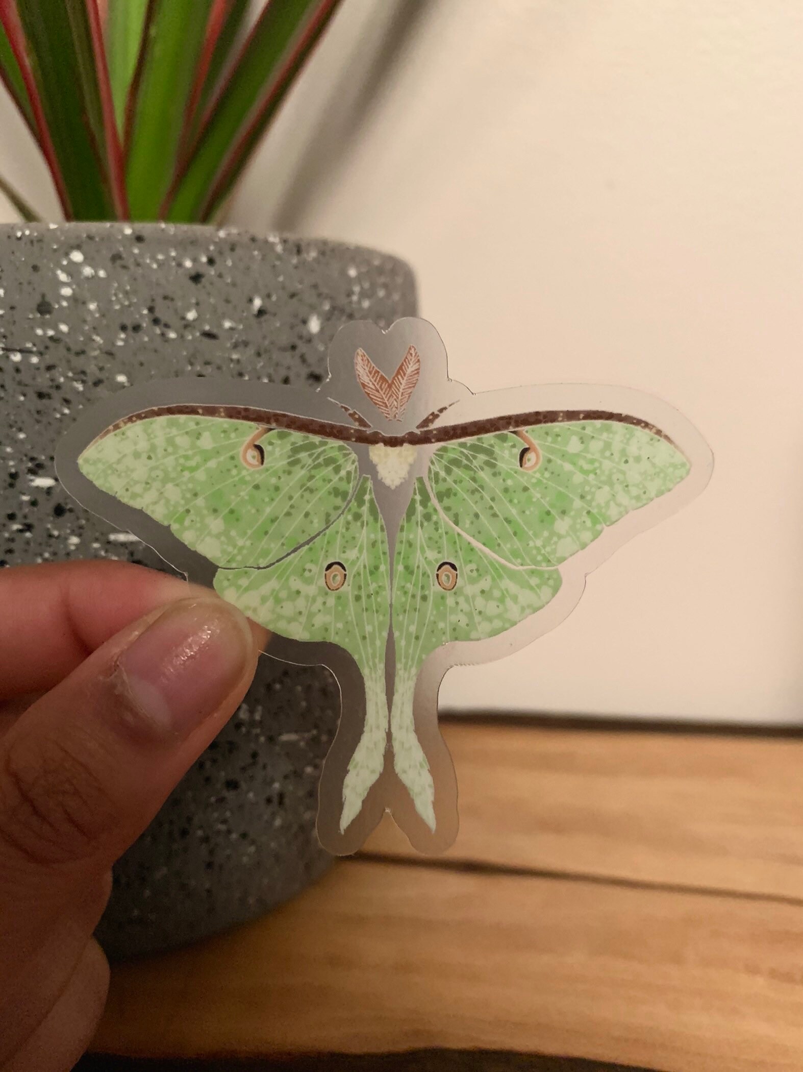 Bumper Stickers Stickers, Labels & Tags Luna Moth Transparent Sticker ...