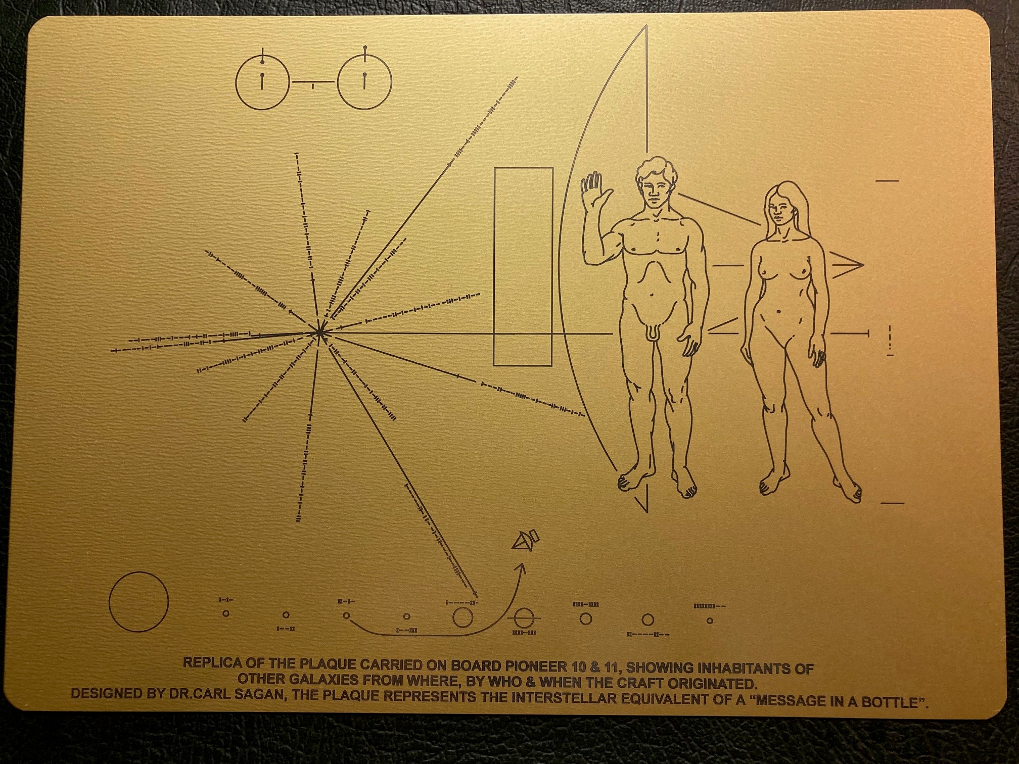 NASA Pioneer 10&11 Plaque - Metal With Engraved Explanation - Etsy