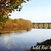 River Tyne Green Hexham Bridge Mounted Photograph Picture ...