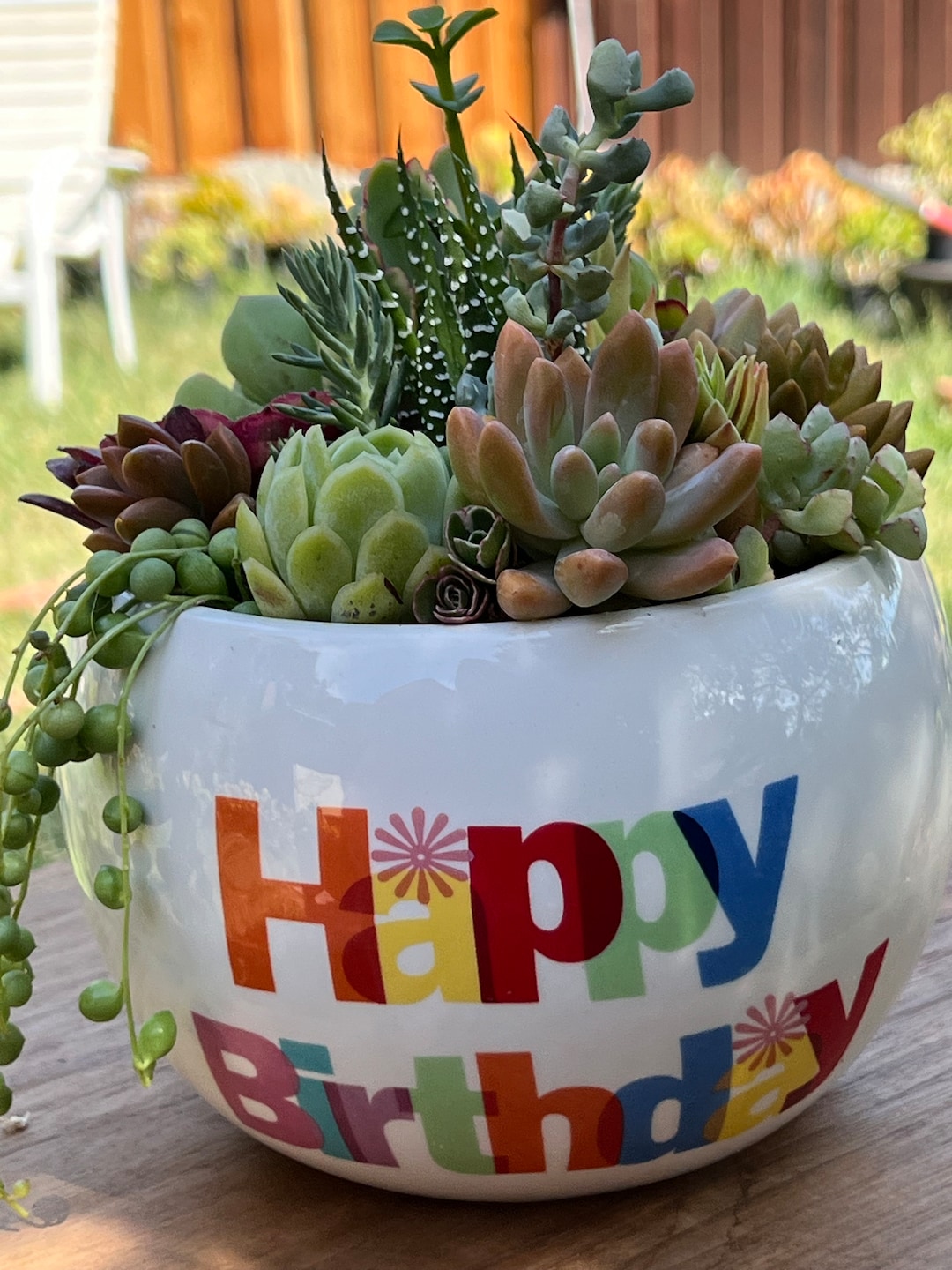 Live Birthday Succulent Arrangement/ Birthday/ Birthday Gift ...