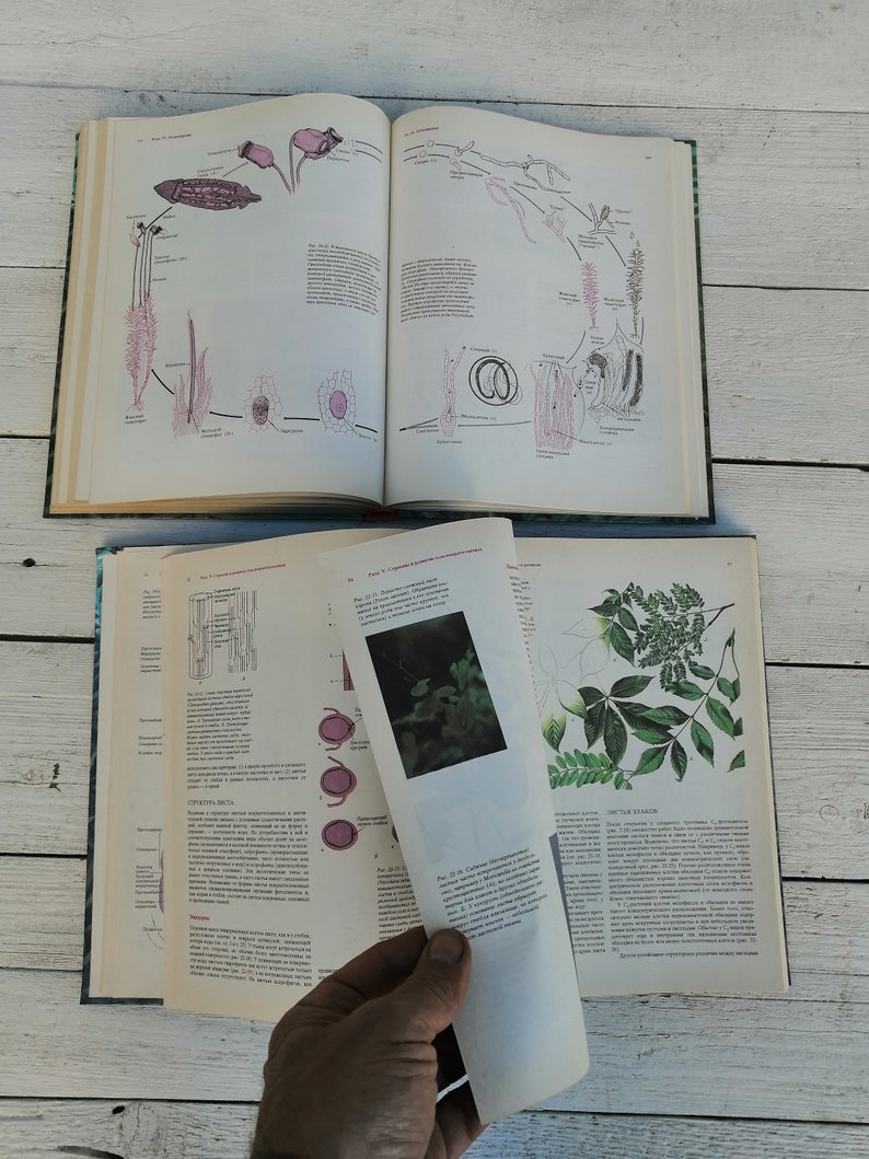 Vintage Book, Modern Botany, Two Textbooks, Soviet Book, Study Guide ...