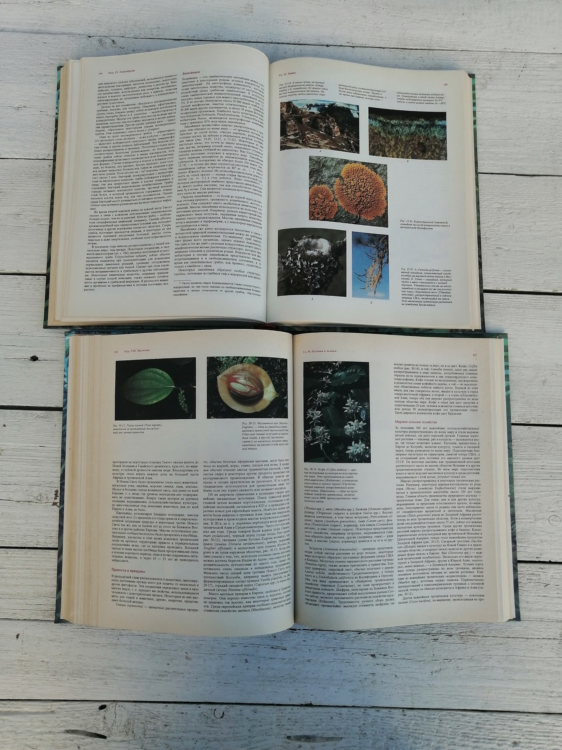 Vintage Book Modern Botany Two Textbooks Soviet Book Study - Etsy