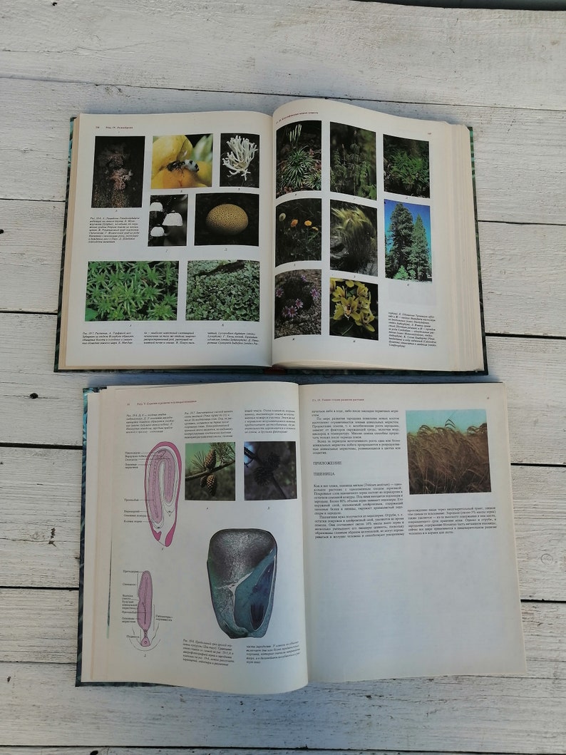 Vintage Book, Modern Botany, Two Textbooks, Soviet Book, Study Guide ...