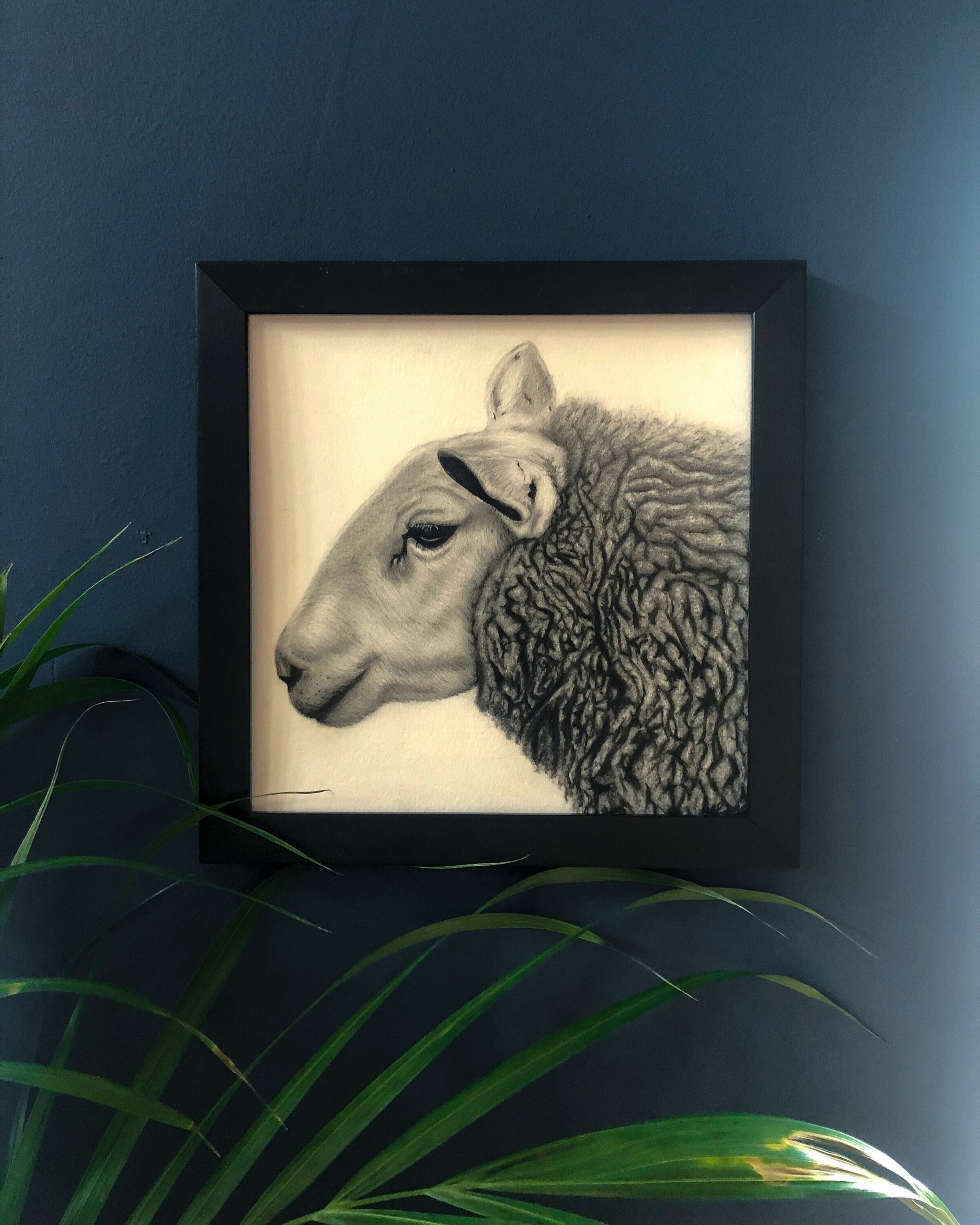 Sheep Art Print | Sheep Artwork | Sheep Gifts | Sheep Picture | Welsh ...
