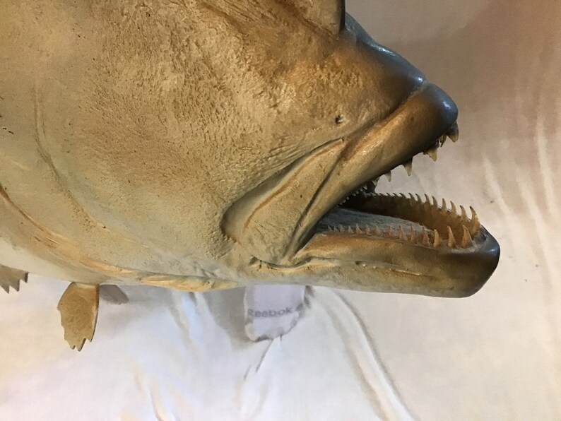 Large Halibut Real Skin Fish Mount, Coastal, Sea, Resort, Man Cave ...