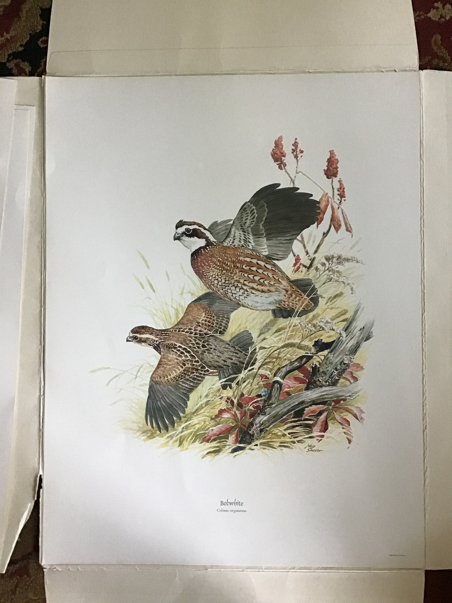Vintage Field and Stream GAME BIRD PORTFOLIO Ned Smith Limited Edition ...