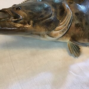 Large Halibut Real Skin Fish Mount, Coastal, Sea, Resort, Man Cave ...