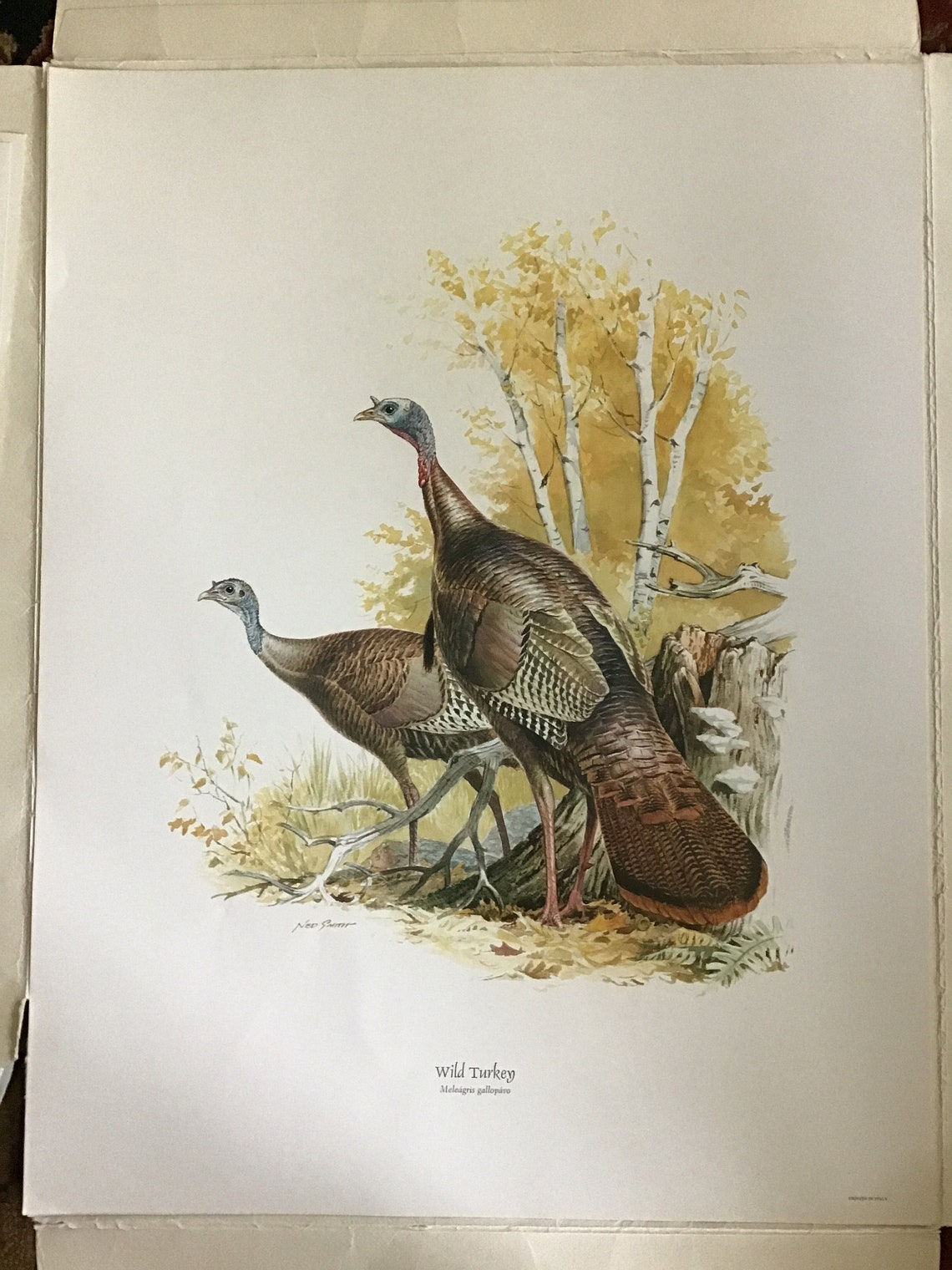 Vintage Field and Stream GAME BIRD PORTFOLIO Ned Smith Limited Edition ...