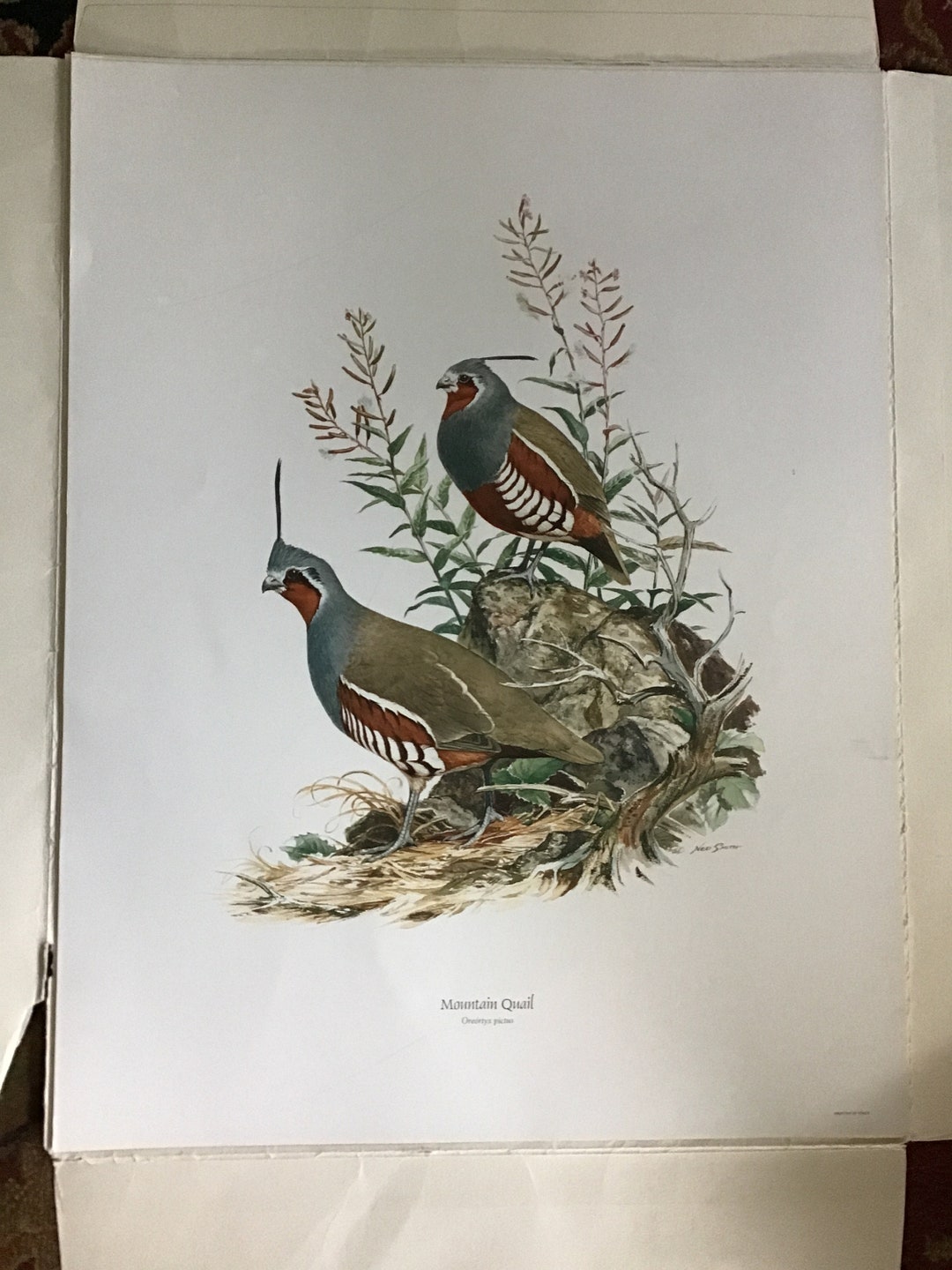 Vintage Field and Stream GAME BIRD PORTFOLIO Ned Smith Limited Edition ...