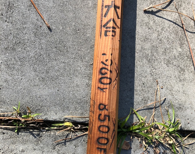1960 Vintage Hiking Stick Walking Stick Stamped Mt Fuji Hiking Stick ...