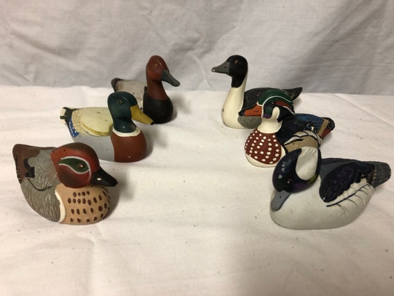 Avon Duck Collection