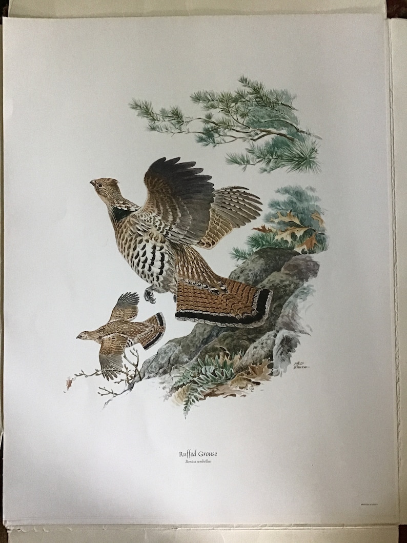 Vintage Field and Stream GAME BIRD PORTFOLIO Ned Smith Limited Edition ...