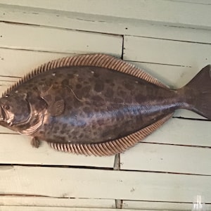 Large Halibut Real Skin Fish Mount, Coastal, Sea, Resort, Man Cave ...