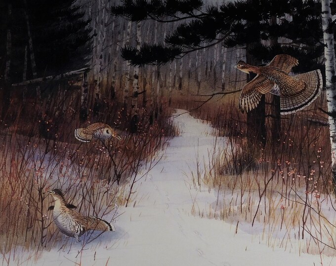 Grouse Feed'n Les Kouba Ruffed Grouse Upland Bird Wingshooting Bonassa ...