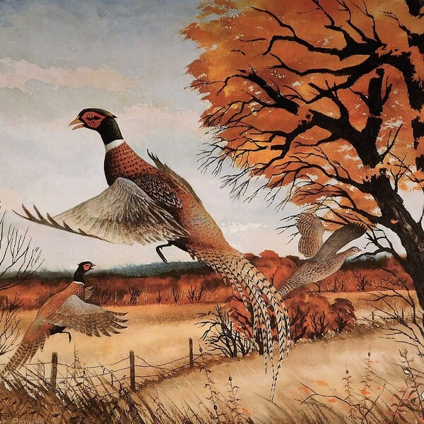 Til the Cows Come Home Set of Three Pheasant Prints by James A Meger - Etsy