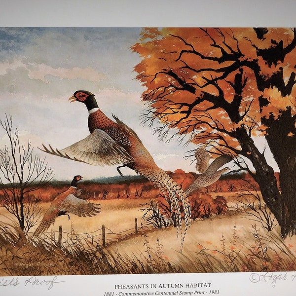 Pheasant Artist - Etsy