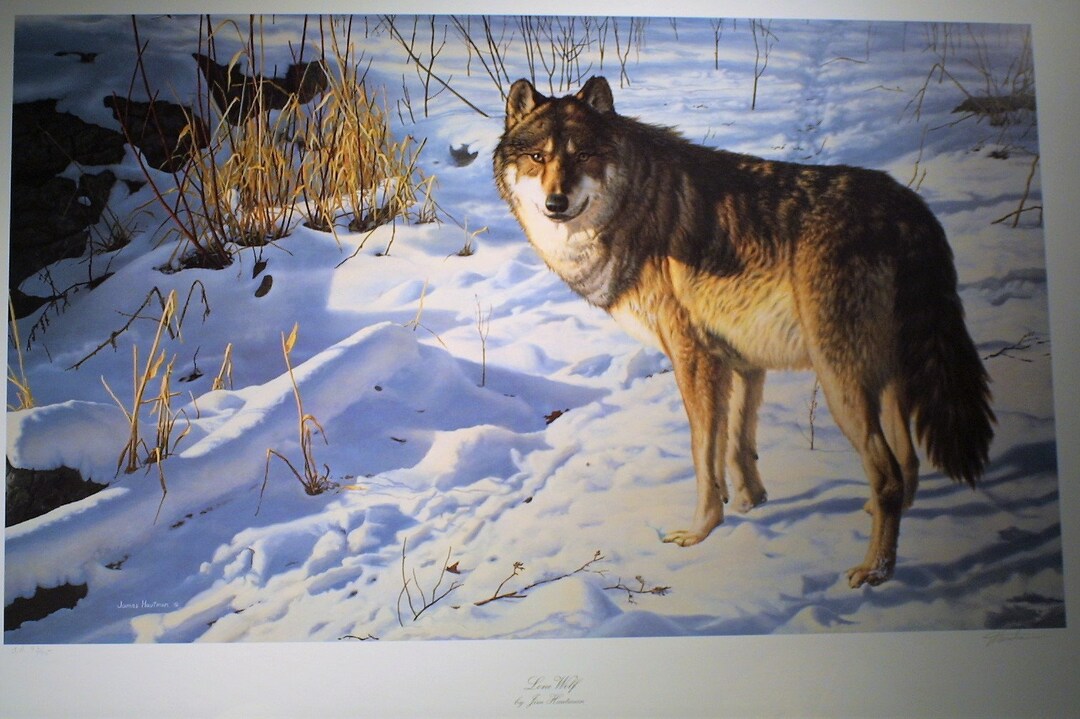 Lone Wolf Timberwolf Print Jim Hautman Wildlife Art Lithograph Wolf - Etsy