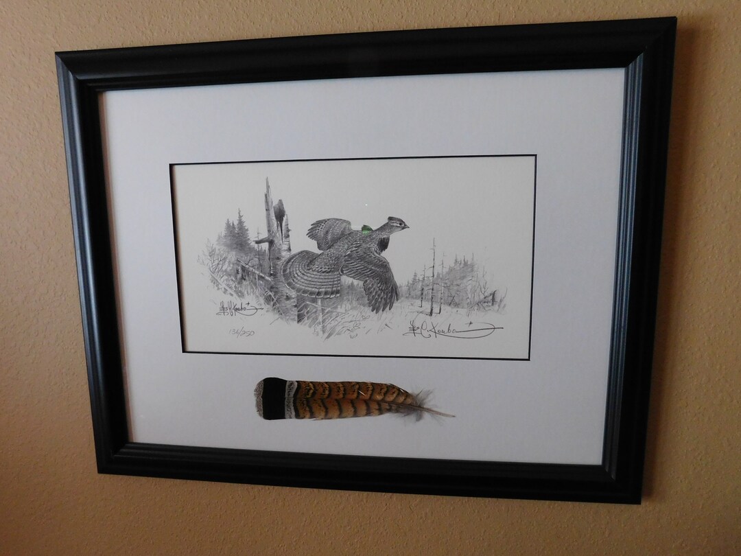 Les Kouba Ruffed Grouse Pencil Print: Limited Edition Framed Art - Etsy