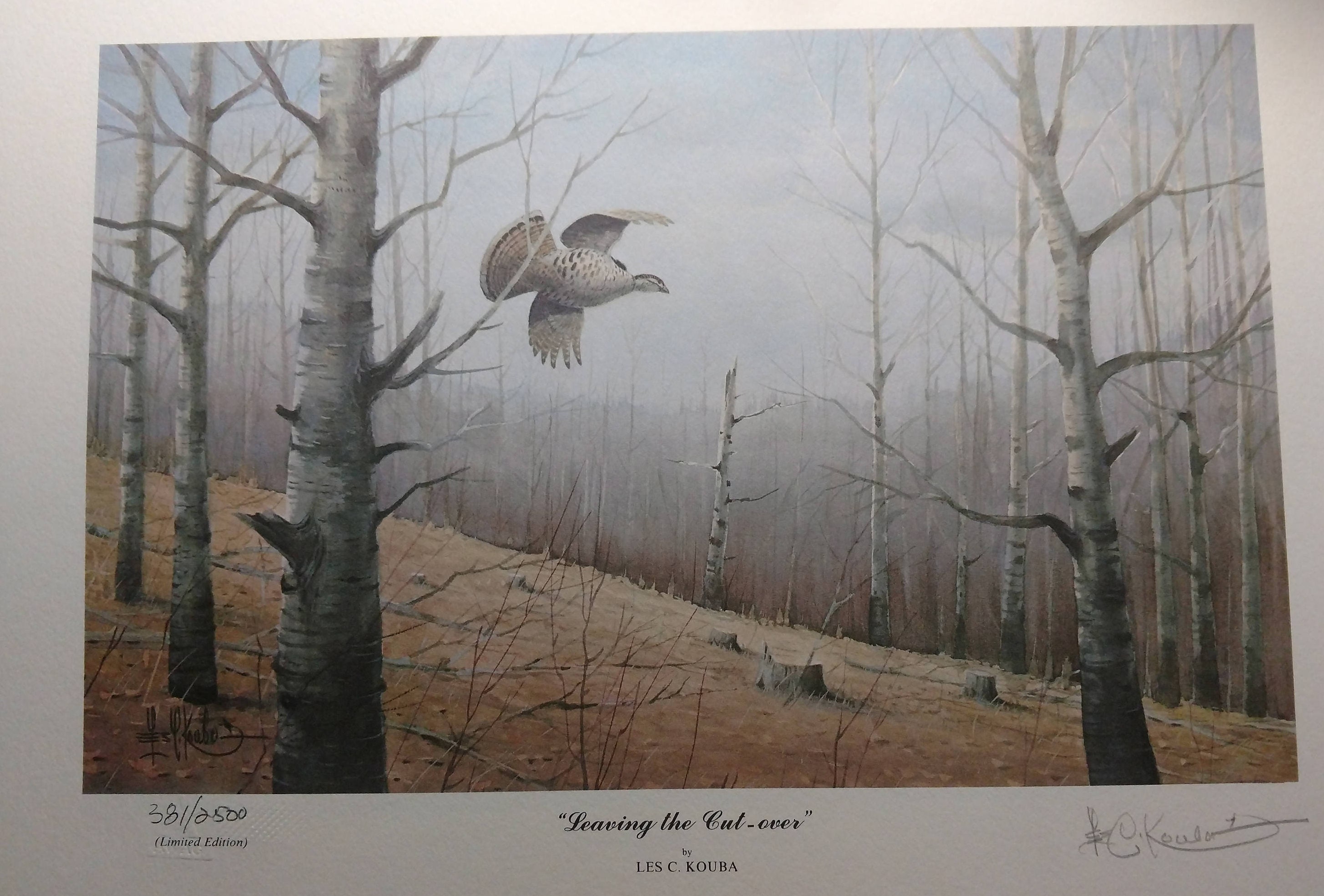 Les Kouba Ruffed Grouse Art Print: Limited Edition Wildlife Lithograph ...