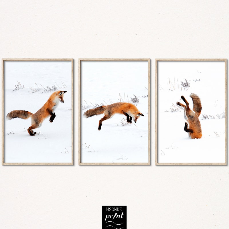 Fox Room Decor - Etsy
