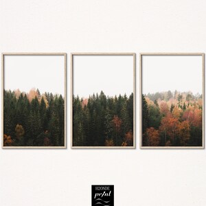 Forest Autumn Fall Wall Art Set of 3 Print Poster Nature - Etsy