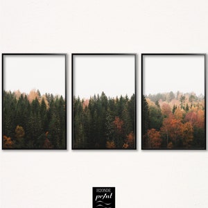 Forest Autumn Fall Wall Art Set of 3 Print Poster Nature - Etsy