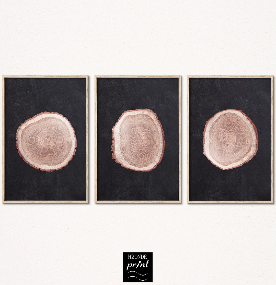 Tree Ring Print Wall Art Set of 3 Stump Printable Instant Digital ...