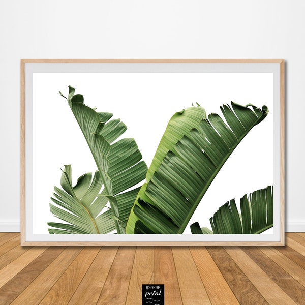 Banana Leaf Poster - Etsy