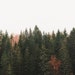 Forest Autumn Fall Wall Art Set of 3 Print Poster Nature - Etsy