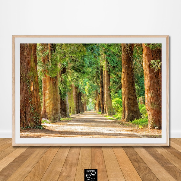 Pine Tree Poster - Etsy