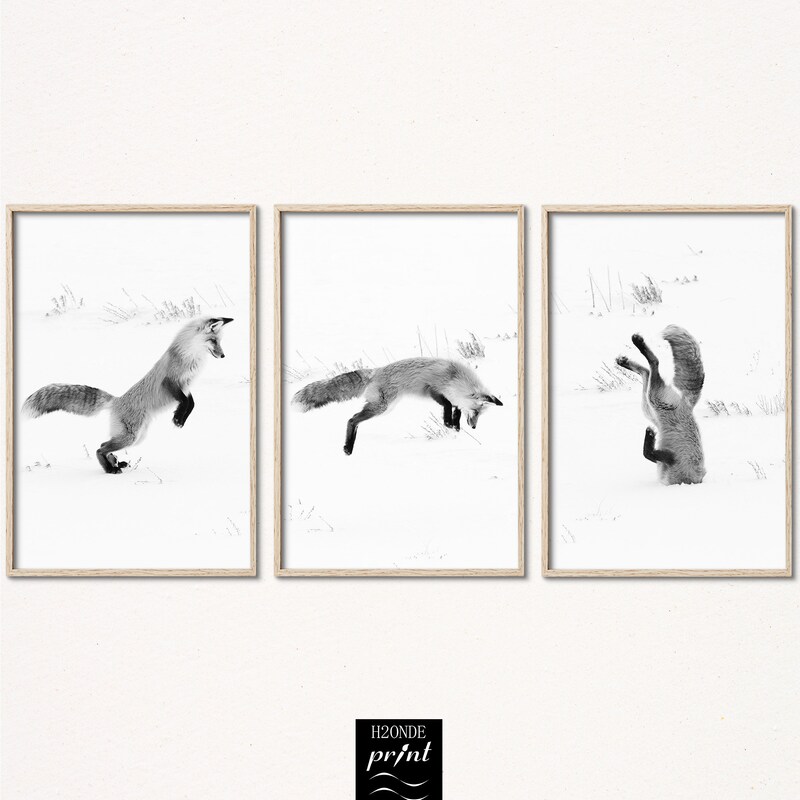 Black and White Fox - Etsy