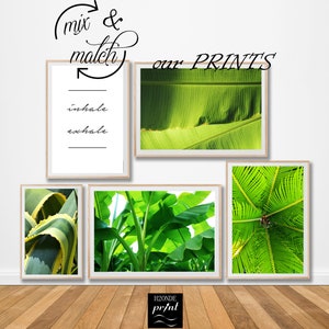 Ananas Tropical Fruit Digital Print Boho Download Wall Art Nature ...