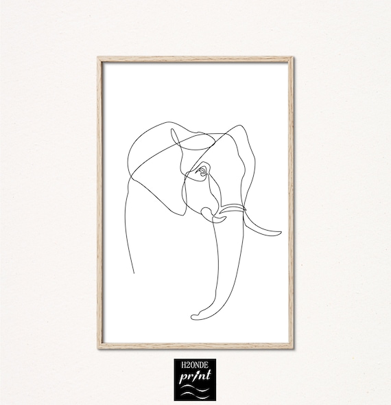 Elephant Head Illustrations