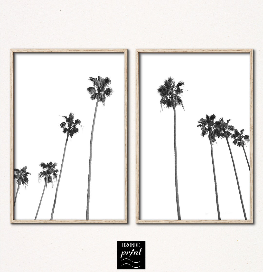Black And White Palm Tree Print Set Of 2 Tropical Leaves Wall Art