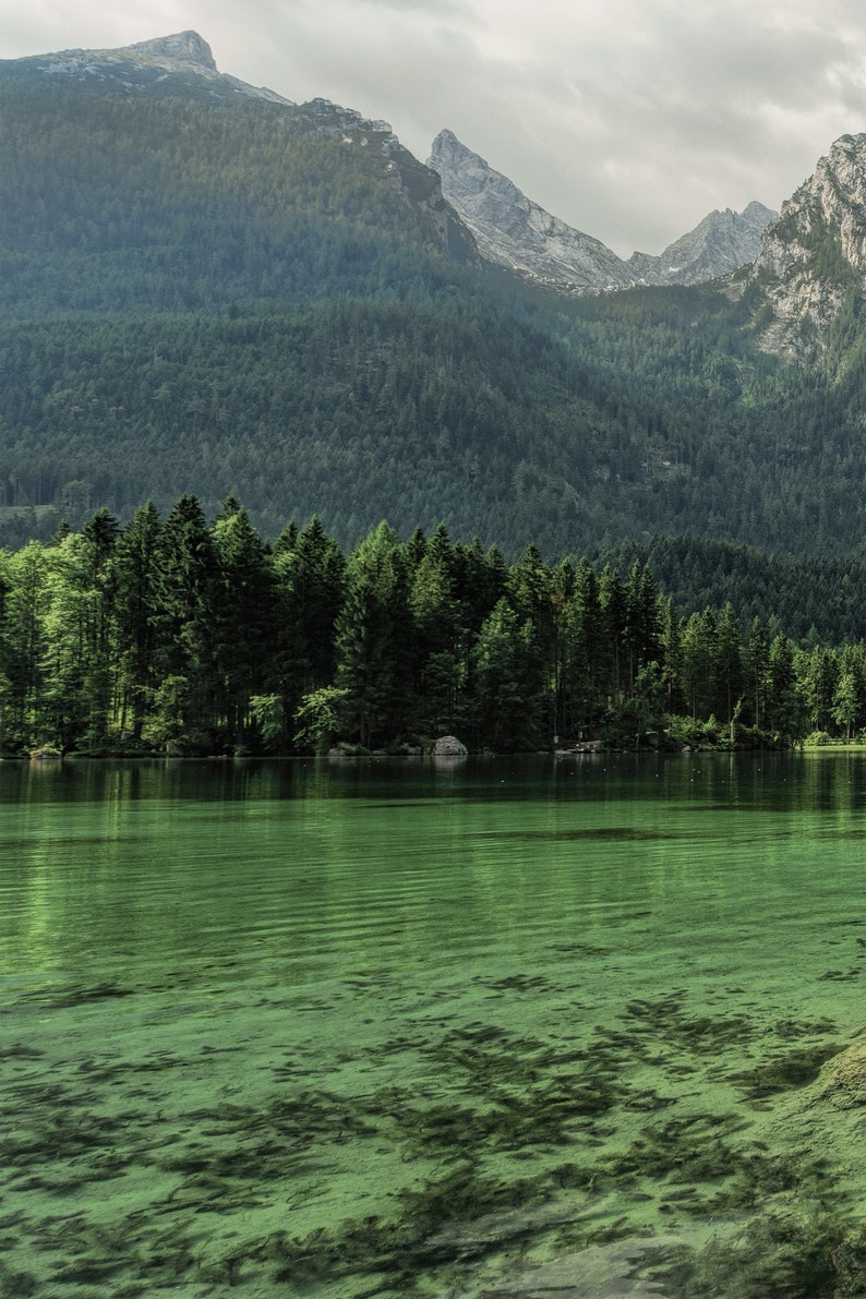 Set of 3 Prints Forest Art Poster Nature Wall Print Three | Etsy